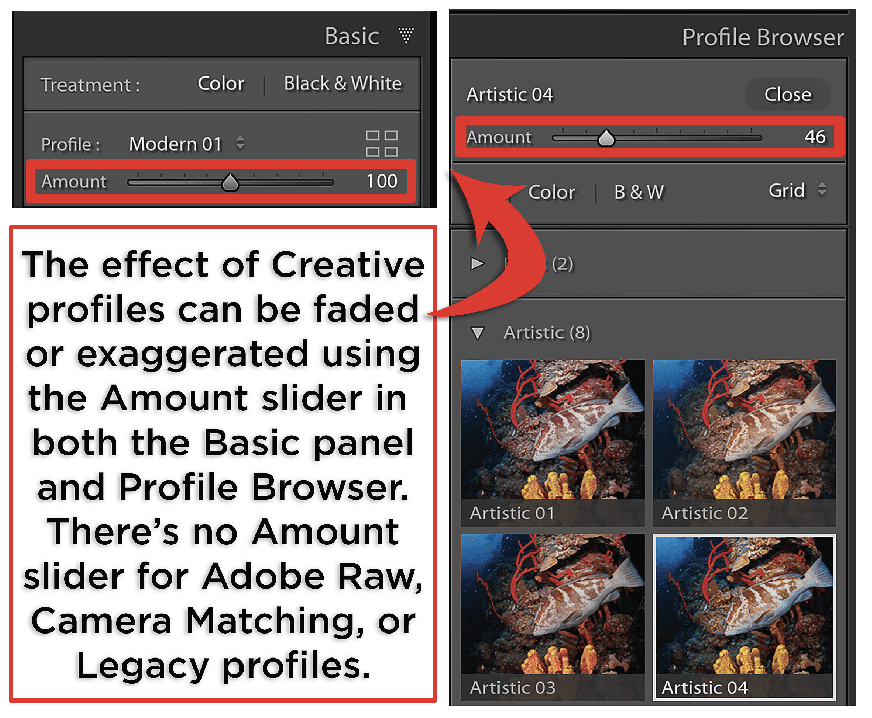 Jump Start Your Editing with New Easy-To-Use Profiles in Lightroom ...