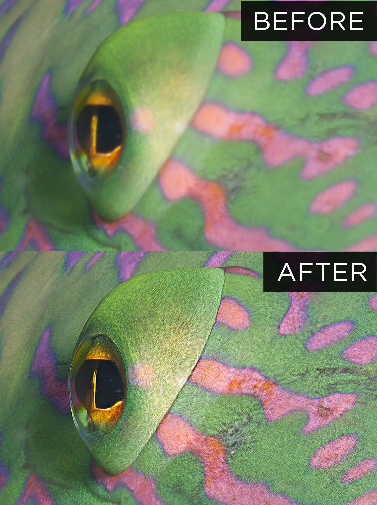 Fixed Focus - How to Sharpen Out-of-Focus Eyes Using Photoshop - Go Ask ...