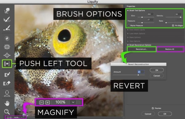 Fixed Focus - How to Sharpen Out-of-Focus Eyes Using Photoshop - Go Ask ...